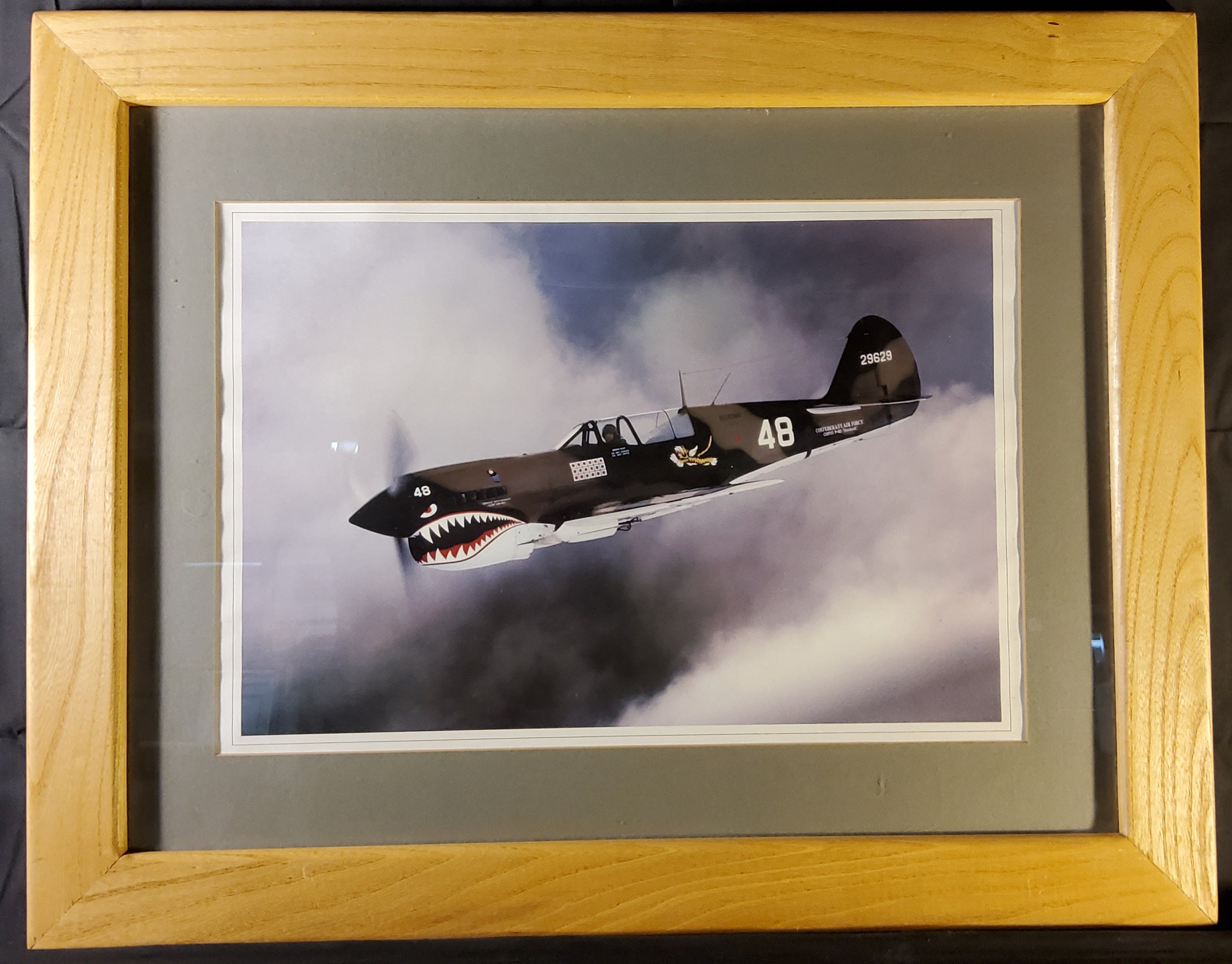Curtiss P-40N Warhawk - DS | Metro Gallery Nebraska