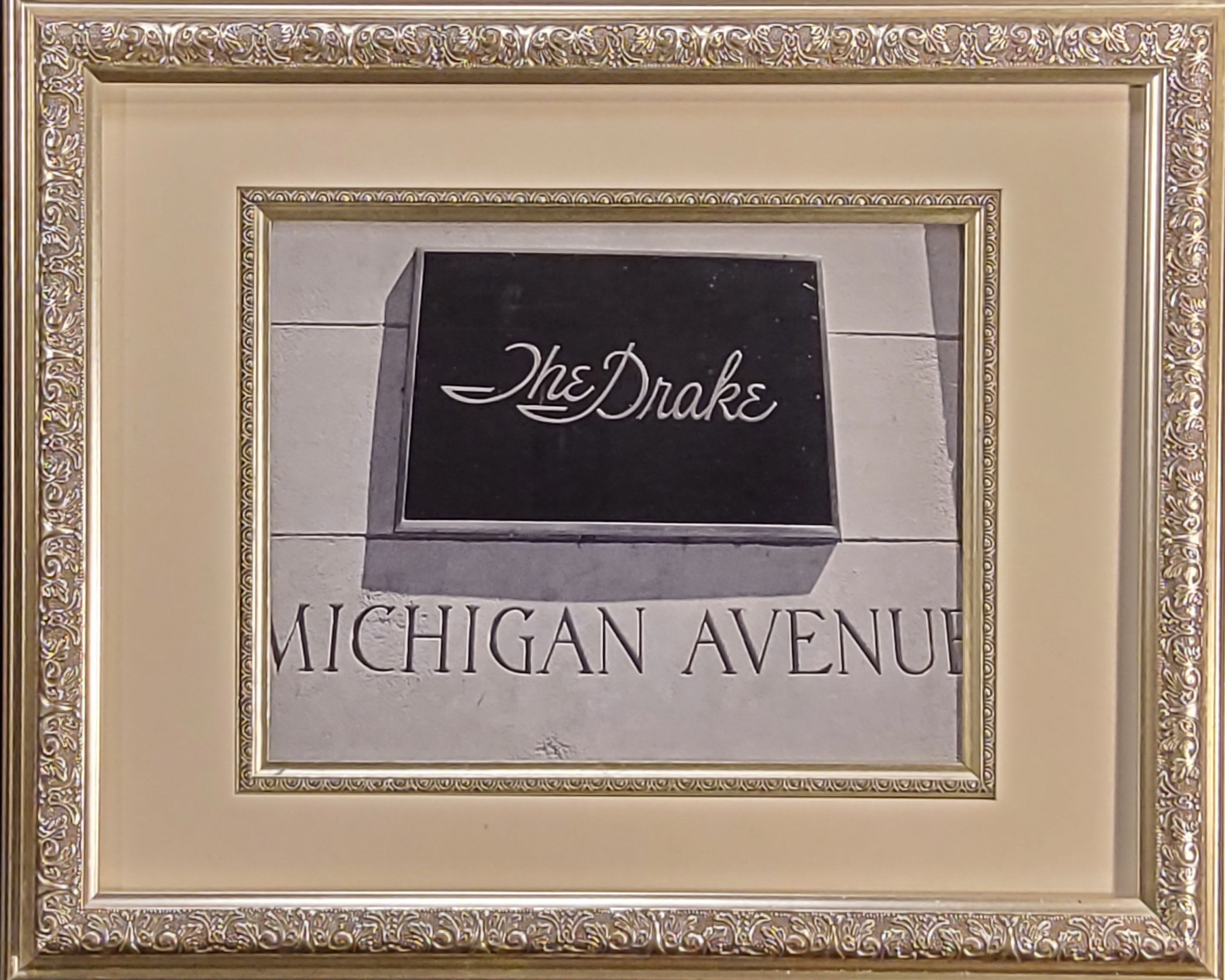 The Drake - On Michigan Avenue | Metro Gallery Nebraska