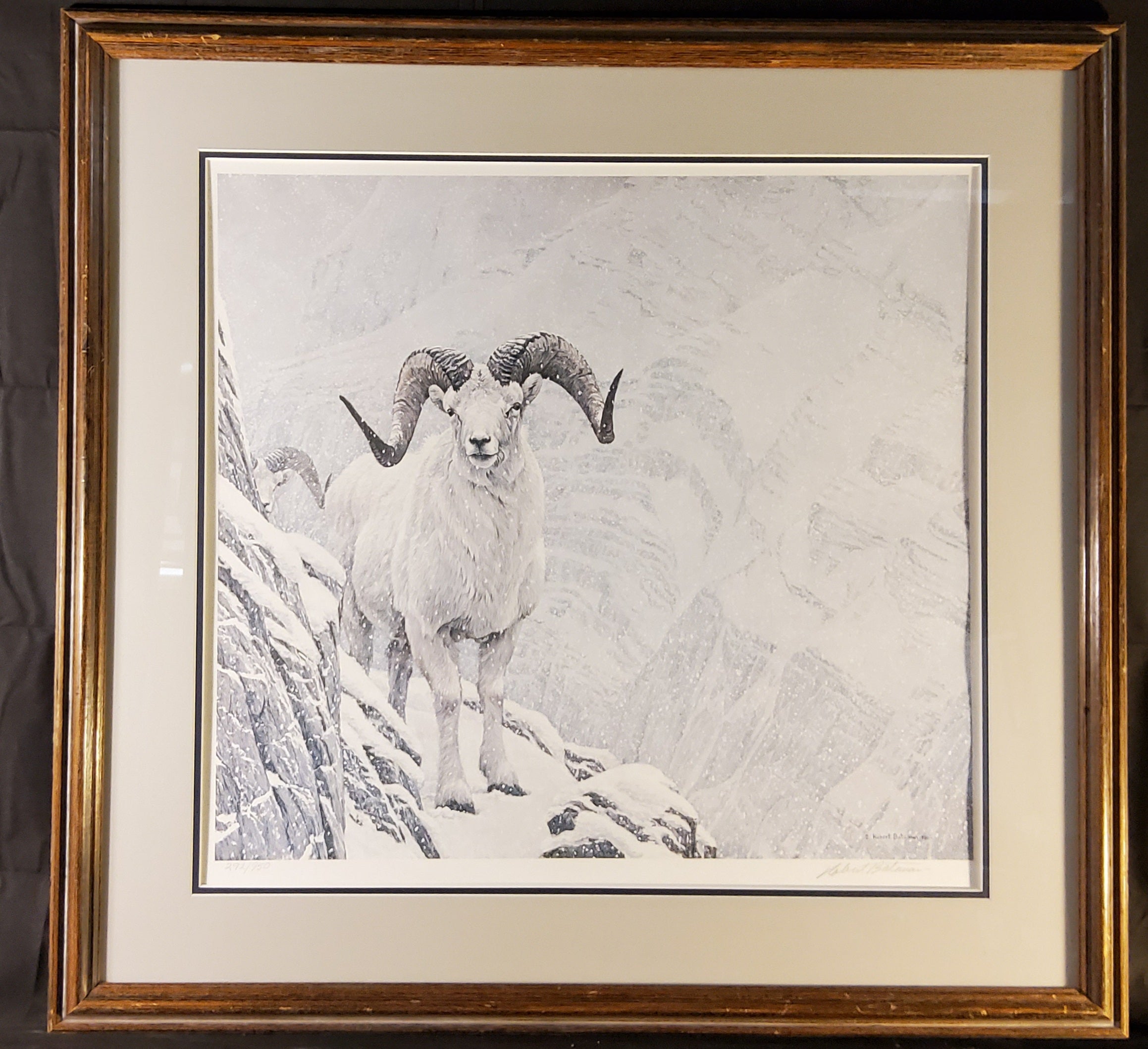 Robert Bateman White World - Dall Sheep | Metro Gallery Nebraska